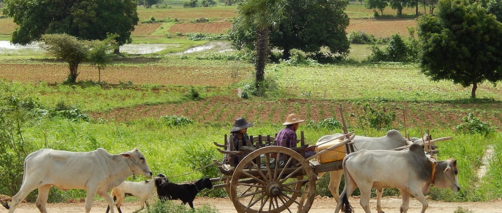The Impact of the Vacant, Fallow, and Waste Land Management Actand the ...