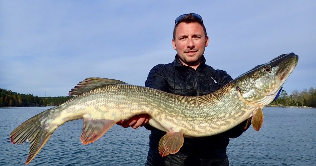 pike fishing in Sweden - Book Your Adventure | Fishing escape sweden