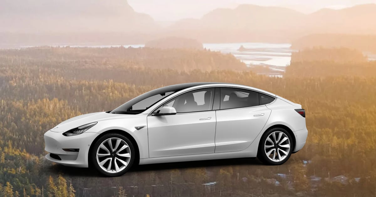 TesDrive | Vancouver Island EV Leasing | Tesla | TesDrive