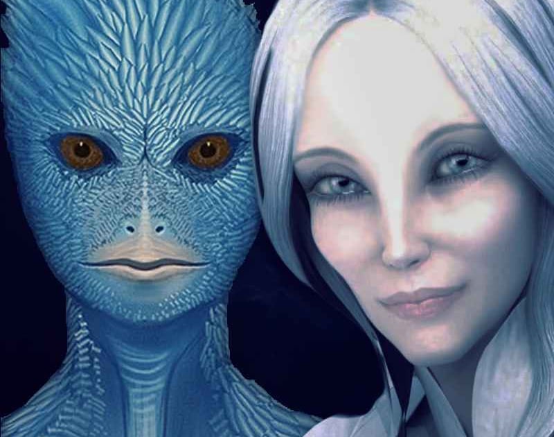 Quem são os Blue Avians? | Amanda Avians - Avians Codex