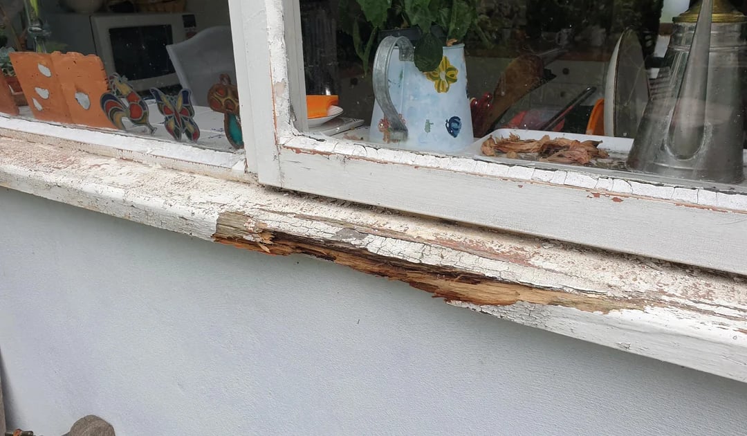 Repairing a Rotten Window Sill: A Step-by-Step Guide for Humid Alabama ...