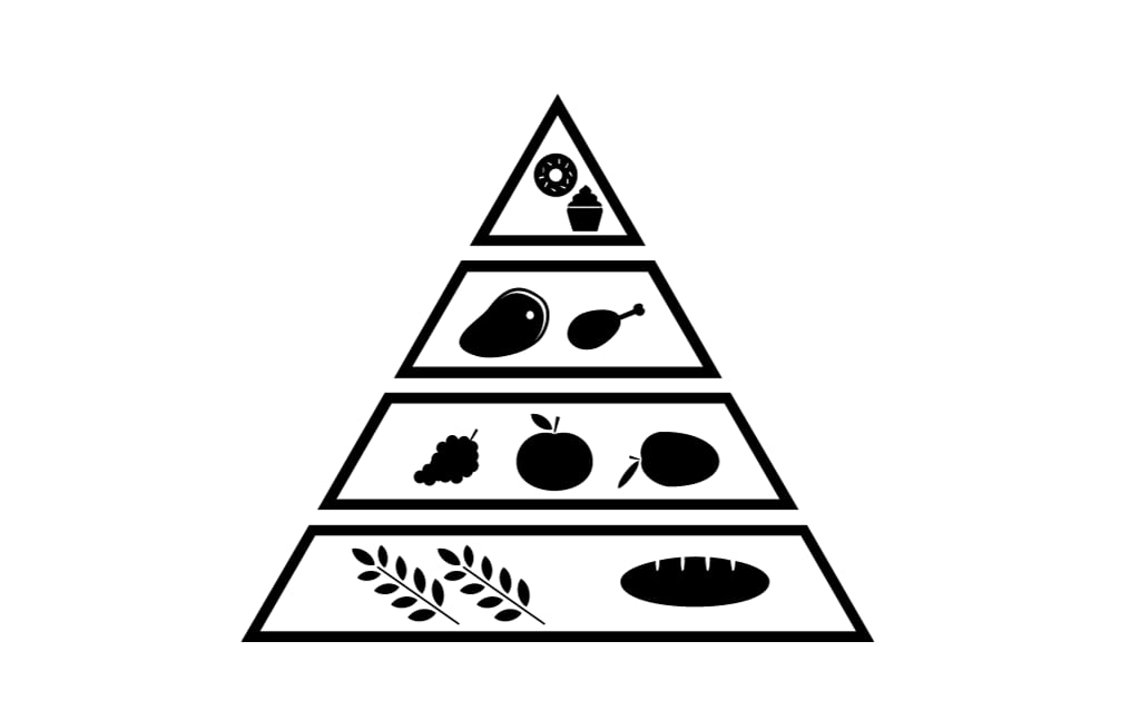 Is The Food Pyramid Wrong!? | Becoming Wilder