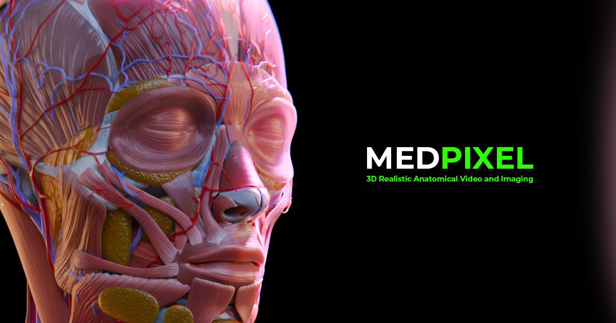 ilustração médica e animação médica 3D | MEDPIXEL