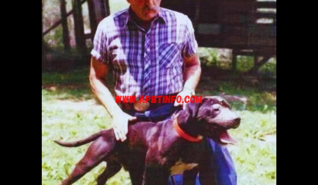 Leste Hughes The old mountain man | APBT INFO