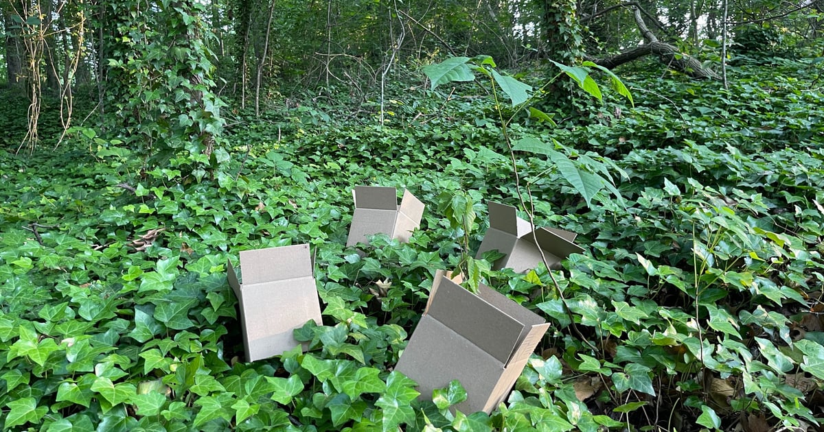 Send shit in a box · Anonymous poop Shipping Service · Ship poop | Poop ...