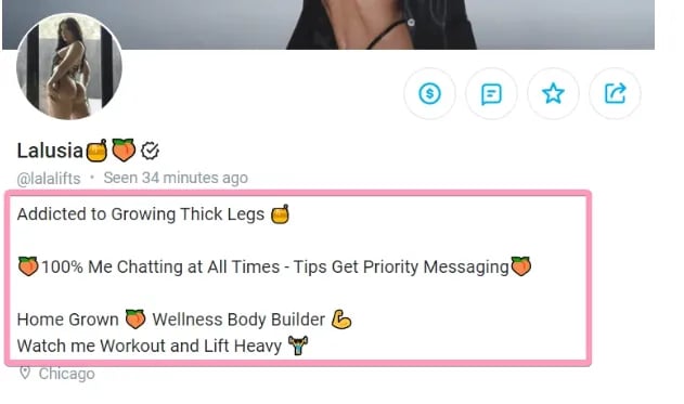 OnlyFans Bio Ideas and Tips With Examples | ofmodelhub