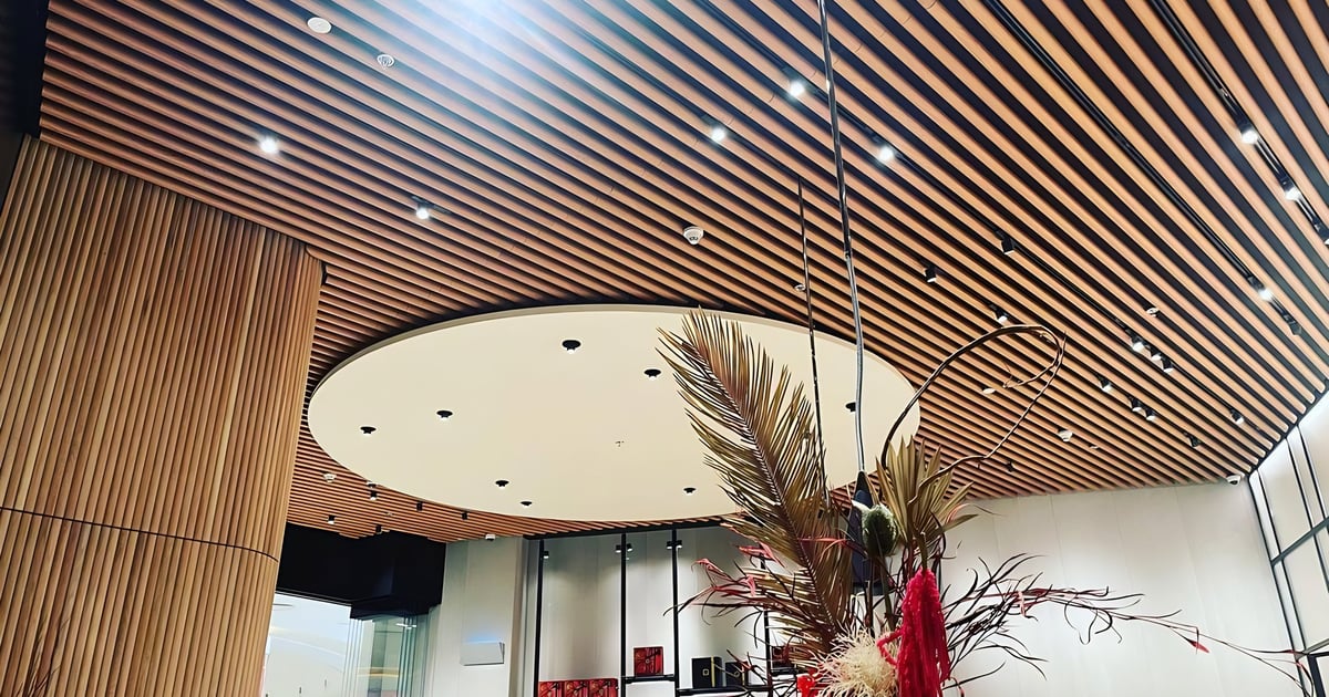 Everything You Need to Know About Baffle Ceilings: Materials ...