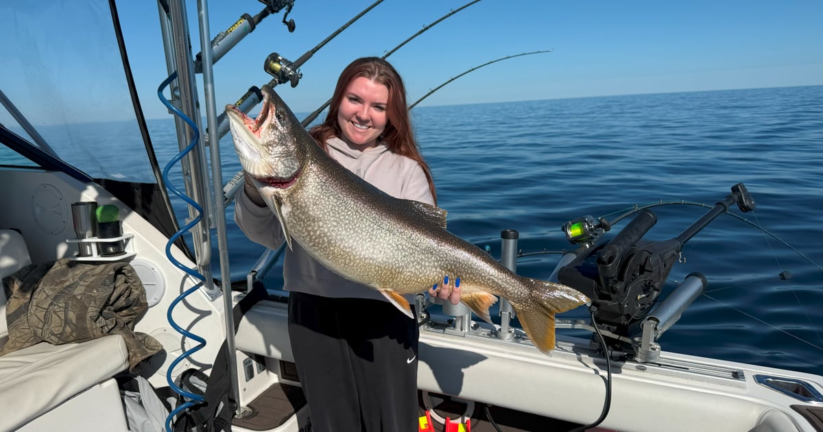 Ludington Report - “Bananas Yesterday, Bob Marley Today, and a Side of ...