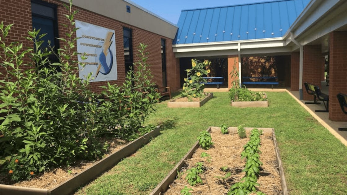 Lasagna Gardening 101 | Permaculture Gardens