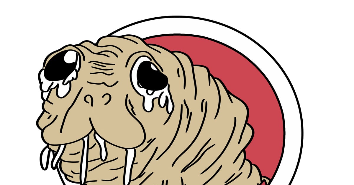 Squonk: Embrace the Meme Token's Quirky Charm | Squonk