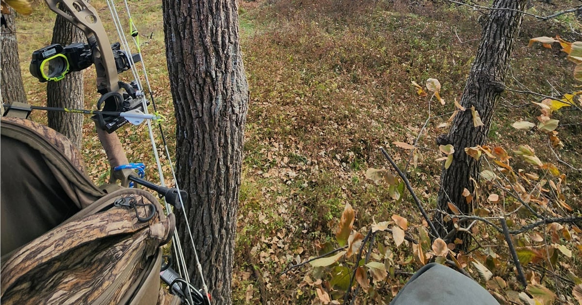 Roller Coaster Rut Trip | Minnesota State Archery Association