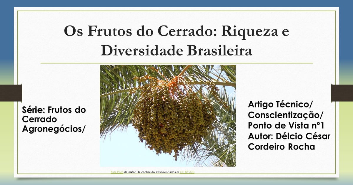 Os Frutos do Cerrado: Riqueza e Diversidade Brasileira