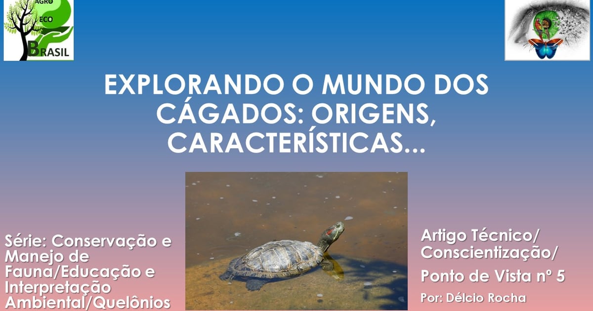 Explorando o Mundo dos Cágados: Origens, Características...