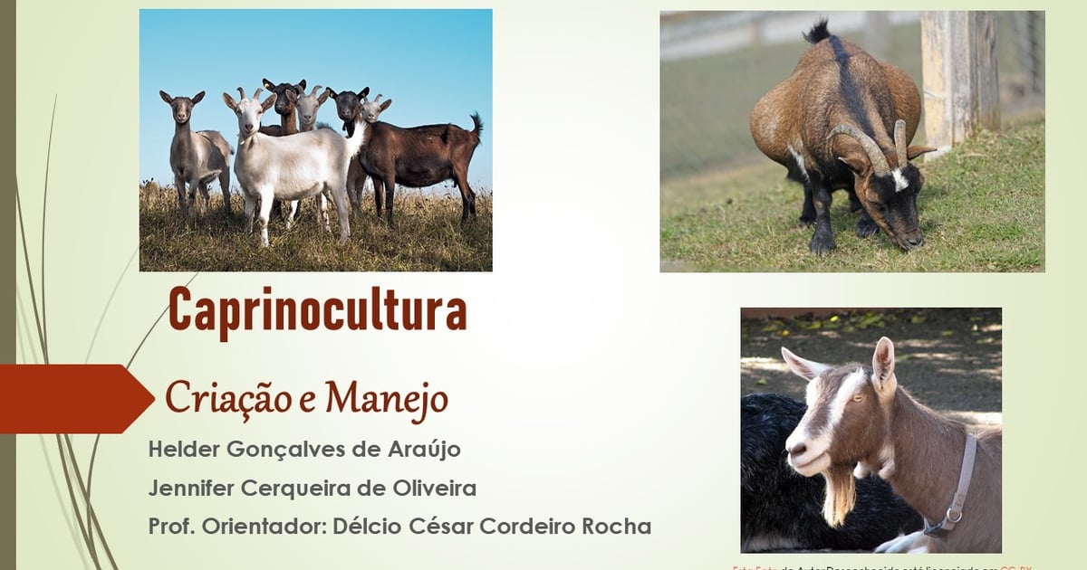 Caprinocultura, Criação e Manejo Caprinocultura, Criação e Manejo