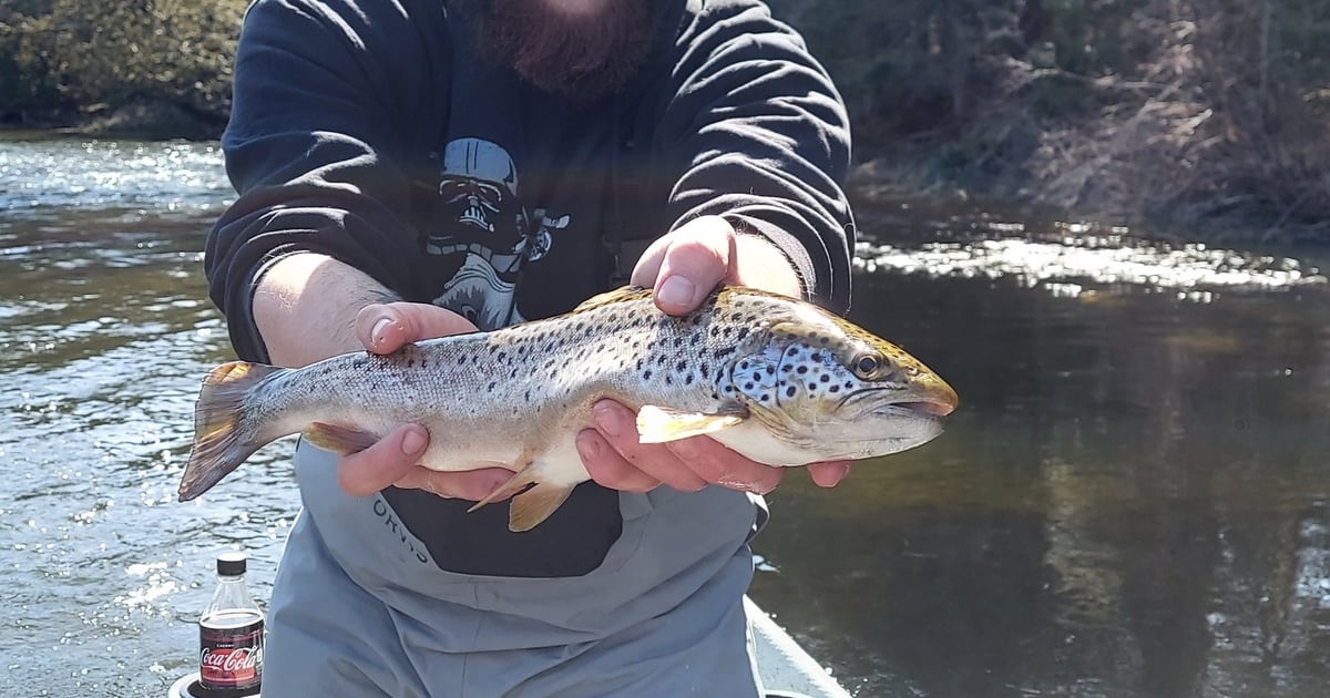 Match the Hatch Guide Service Fly-Fishing Trips | Match the Hatch Fly ...