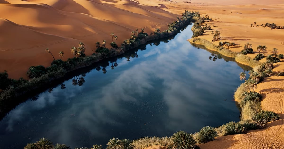 Organic Produce from the Algerian Sahara - Pure Goodness | Sahara Bio Farms