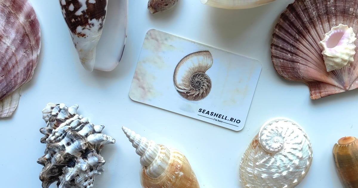 What lives inside a seashell? | Seashell Rio