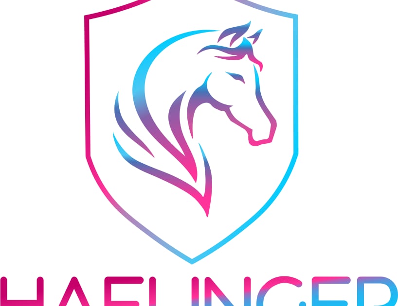 Product | Haflinger Technologies