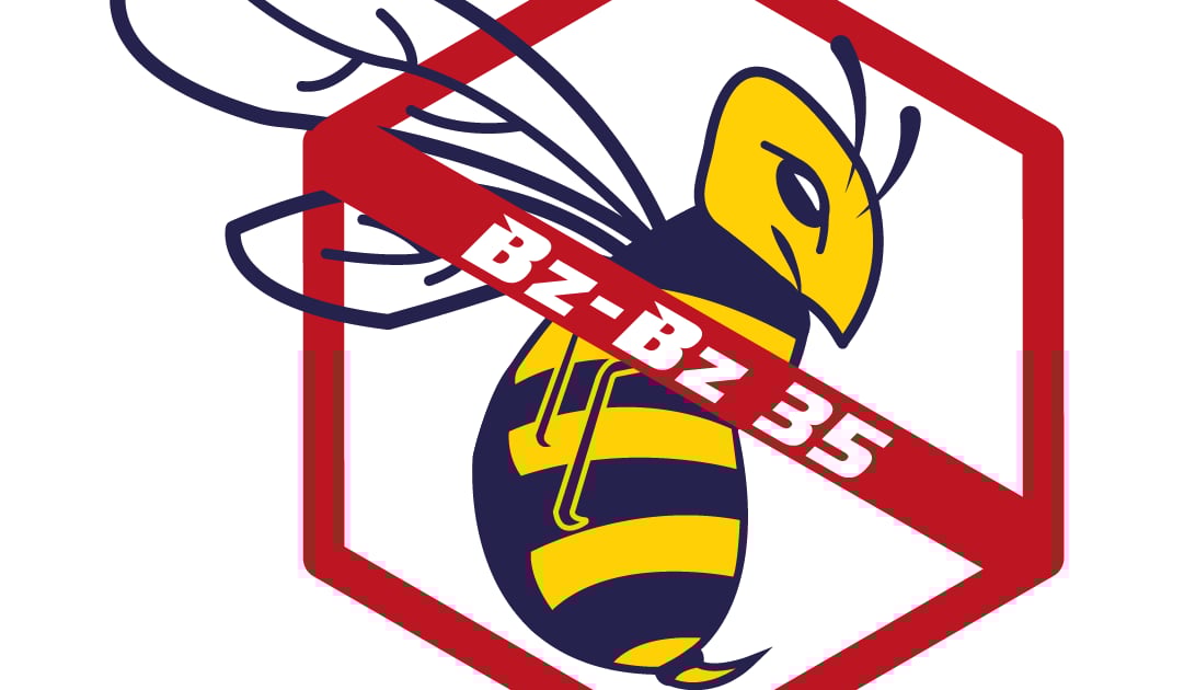 Bz-Bz35 - Solution Efficace pour Éliminer les Nids de Frelons | Bz-Bz35 ...