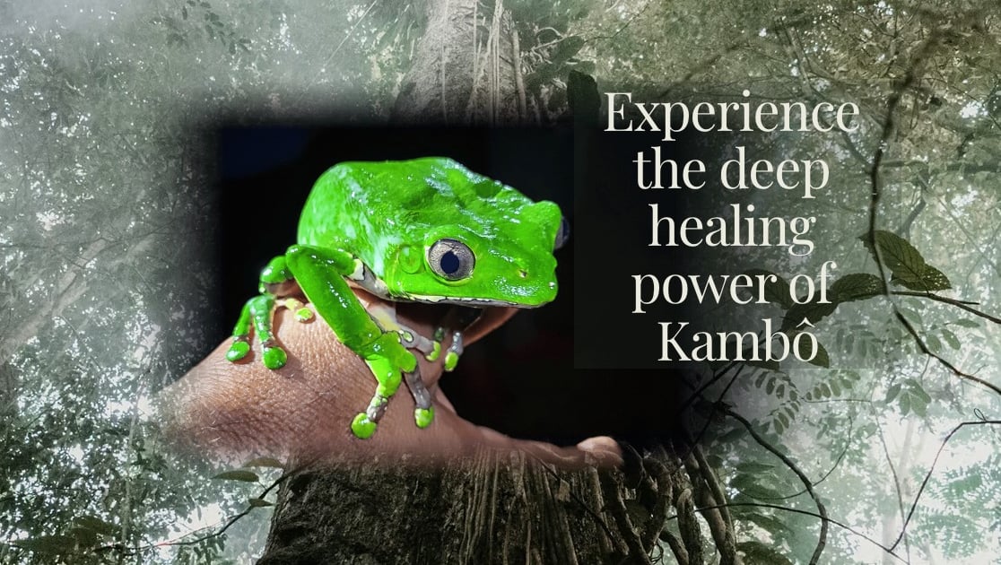 Advanced Kambo Practitioner in Matses Tradition | Kambo Oso