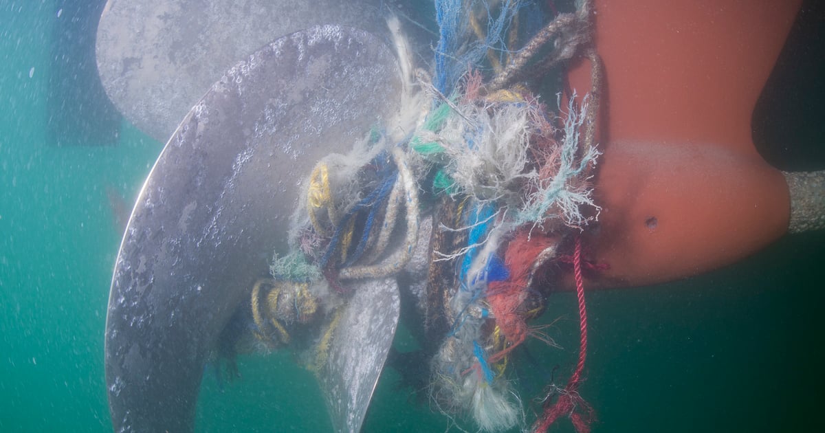 Experienced Scuba Diving Team | Underwater Maintenance Services | Zinc ...