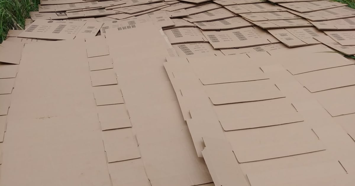 Cardboard Boxes for Natural Weed Control | WillsGarden.com