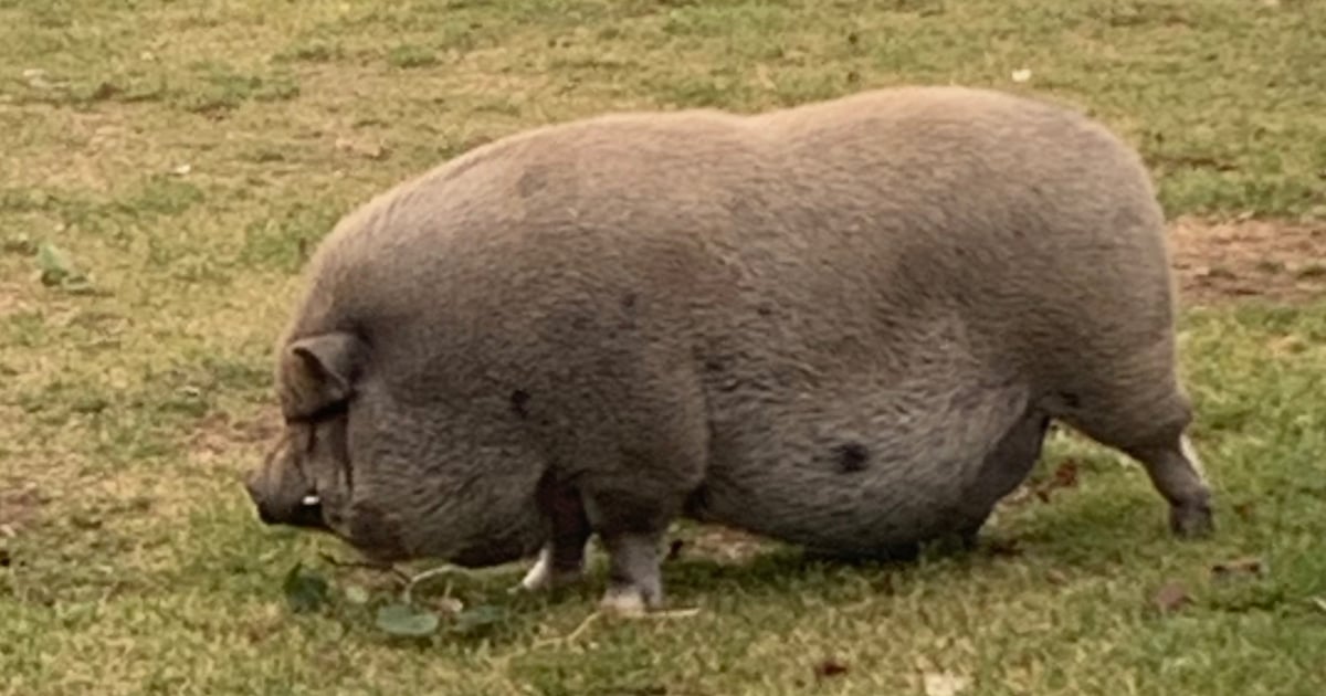 Melanie Seilbach - Children's Book Author | Melanie Seilbach