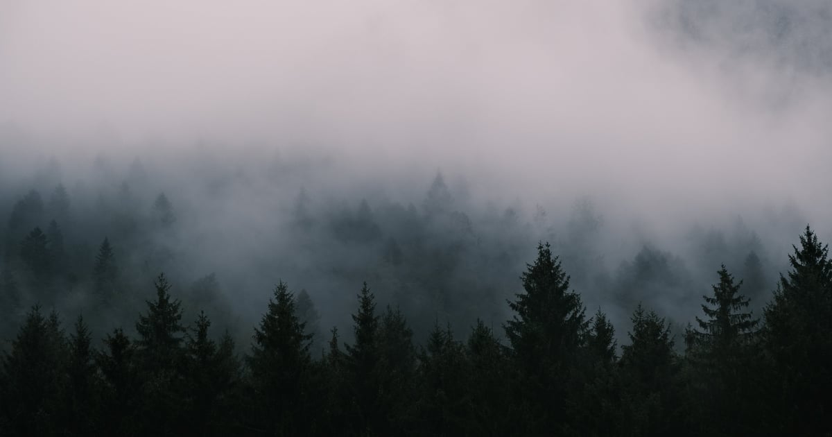 La Grande Traversée | Thomas Fabry | Aventurier Photographe Écrivain