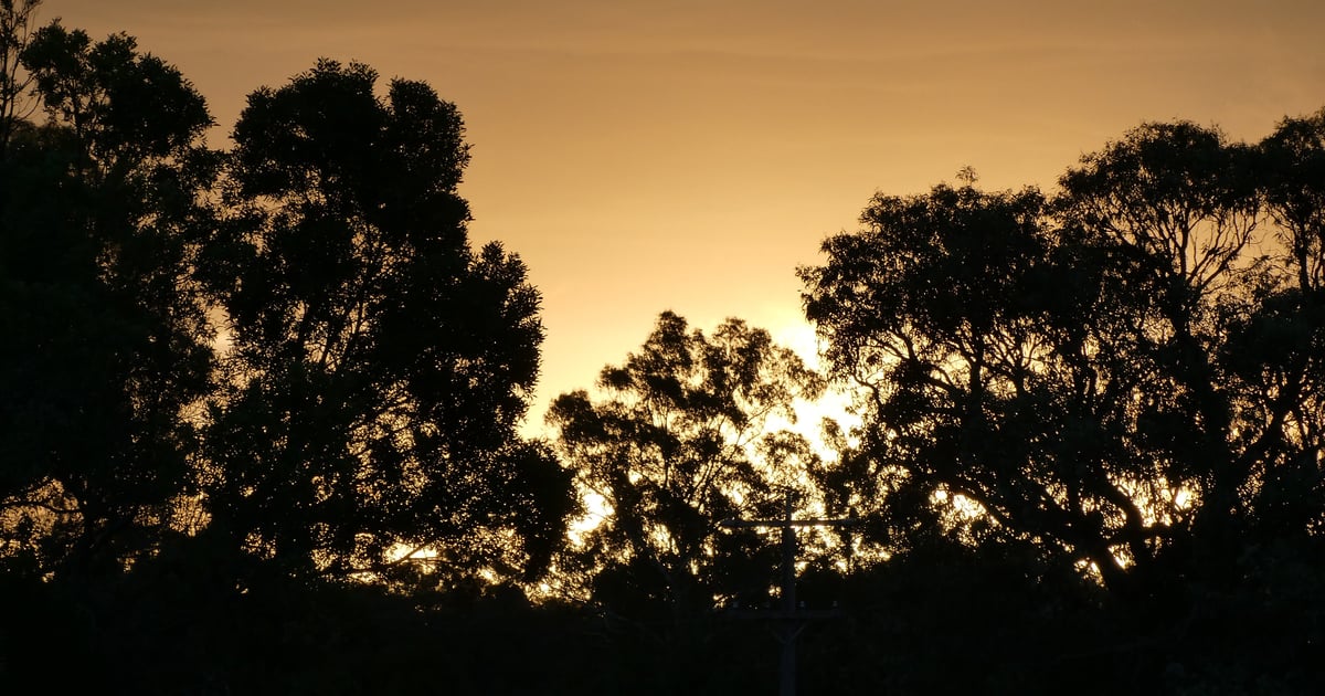 On a foulé la Terre rouge | Thomas Fabry | Aventurier Photographe Écrivain