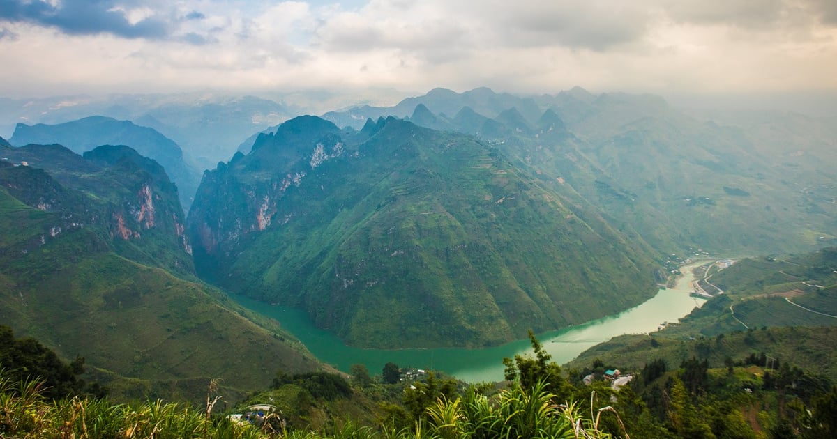Ha Giang Loop – A Touch To Taste “Stone Bloom Flowers” | Ha Giang Loop ...