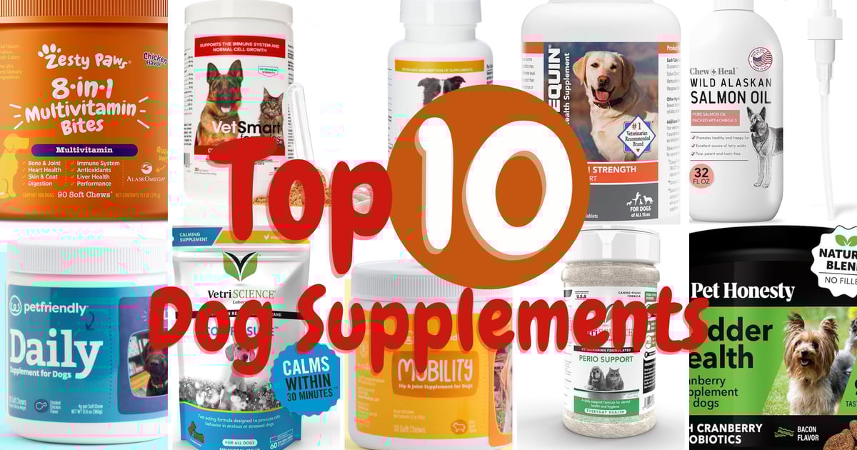 Top 10 Dog Supplements for 2024: Enhancing Canine Health and Vitality ...