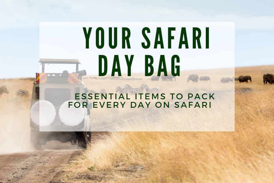 Your Safari Day Bag - Essential Items To Pack For Everyday On Safari ...