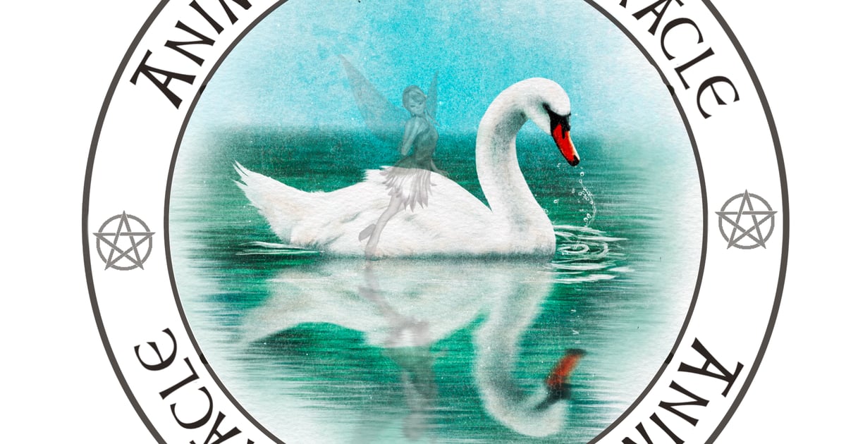 Animal Spirit Oracle: Explore Spirit Animal Meanings Home Page | Animal ...