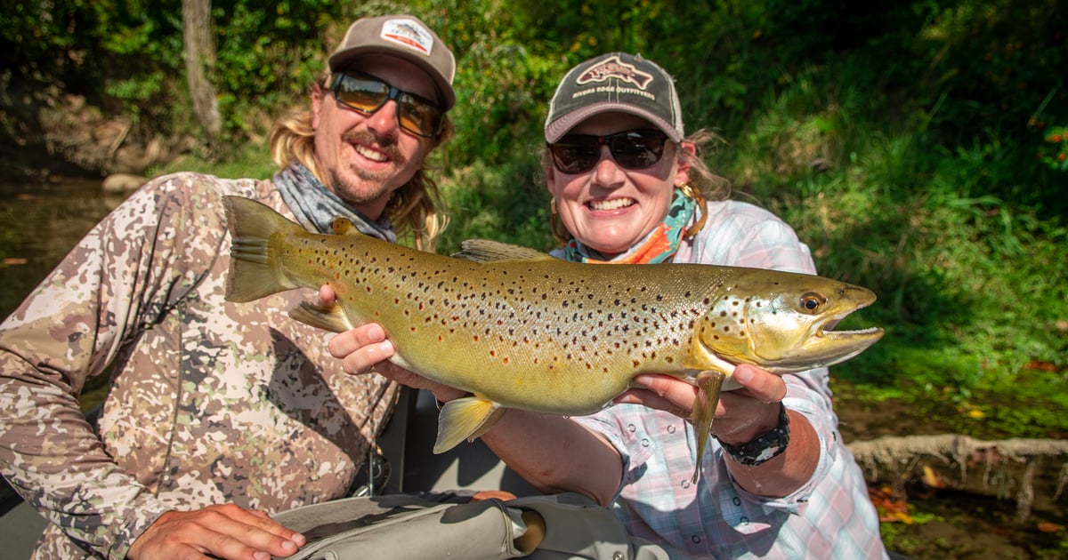 Fly Fish South Holston River: Your Ultimate 2025 Resource!