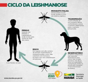 Leishmaniose - você sabia?