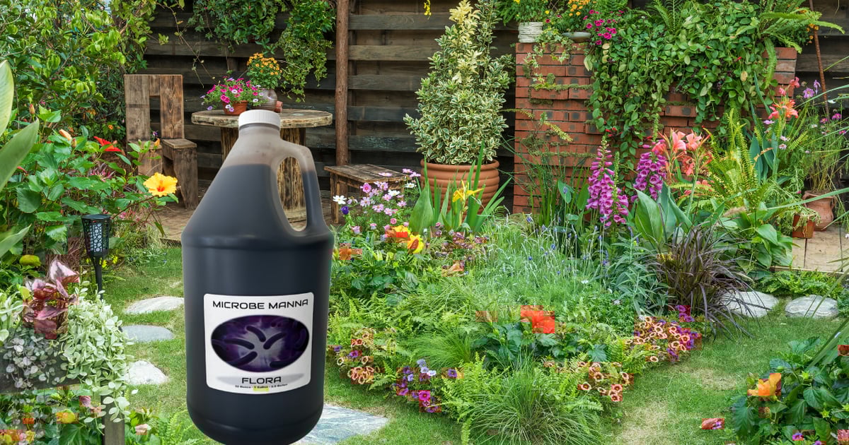 Uncover Soil Microbiology Secrets for Better Gardening | Microbe Manna ...