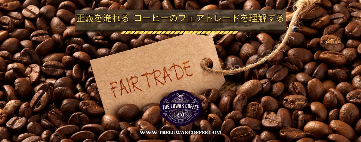 Brewing Justice: Understanding Fair Trade in Coffee | THE KOPI LUWAK ...