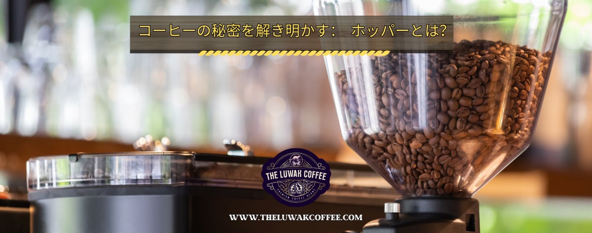 コーヒーの秘密を解き明かす： ホッパーとは？ | THE KOPI LUWAK (LUWAK COFFEE)
