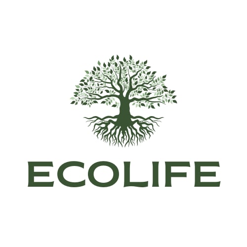 Zero Upfront Cost Solar Thermal Energy Solutions | EcoLife