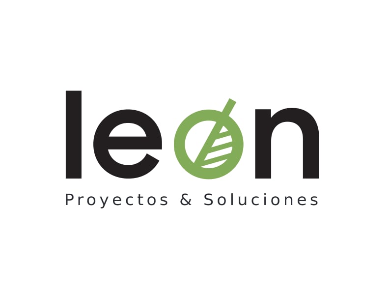 ¿Quiénes somos? | León Proyectos & Soluciones