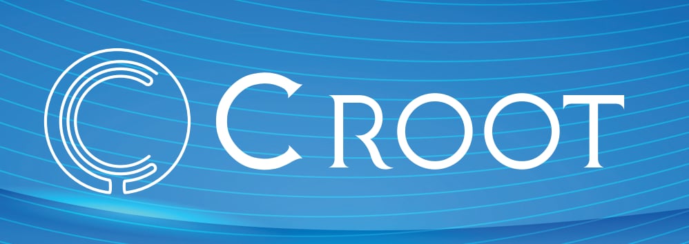 C ROOT Networks: CAT6 Cables, Fiber Optic, Cables, Racks & Network ...