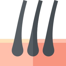 Piloerection | Emotivity