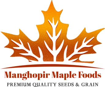 Buy Sesame Seeds & Tahini in Pakistan | Grains and Seeds Supplier and ...