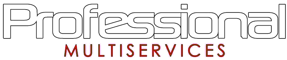 THE PROFESSIONAL MULTISERVICES | THE PROFESSIONAL MULTISERVICES