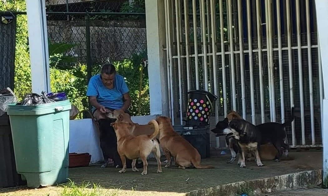 En el olvido: los adultos mayores y sus animales en Puerto Rico ...