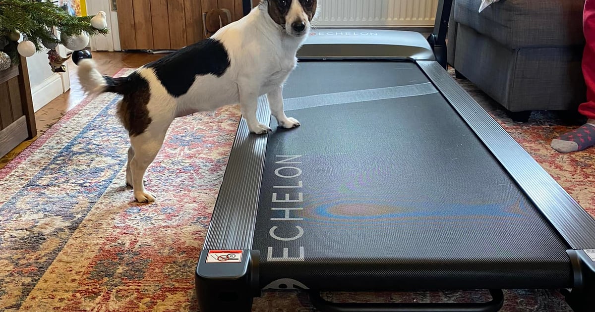 CHOP Your Way to Beating POTS: The Ultimate Guide to the Levine ...