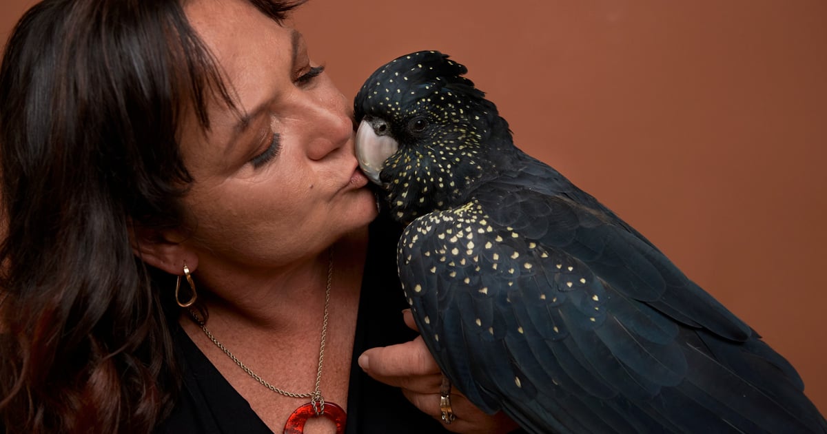 The Benefits of Positive Reinforcement in Parrot Training | Majick Feathers