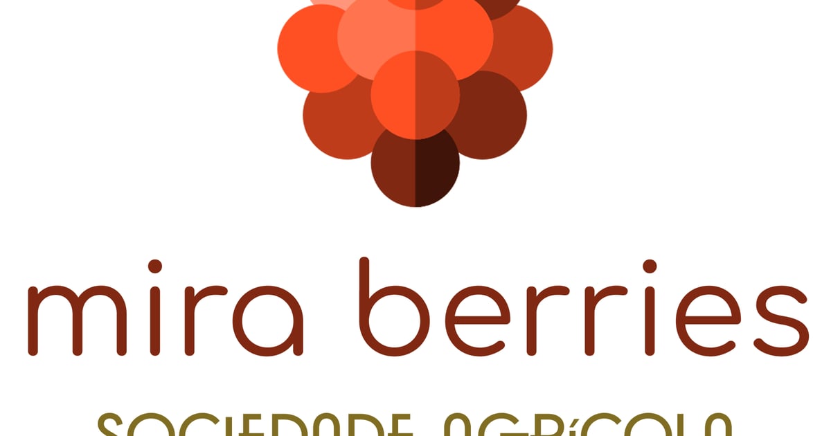 Experience the Freshness of Nature's Abundance | Mira Berries | Mira ...