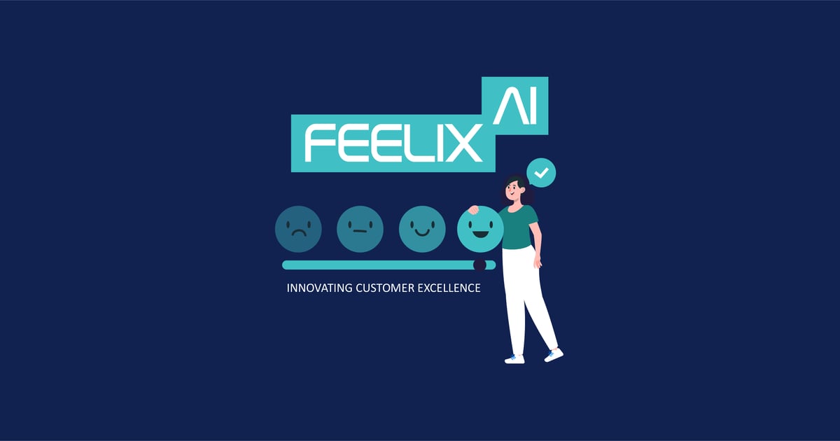 Feelix AI
