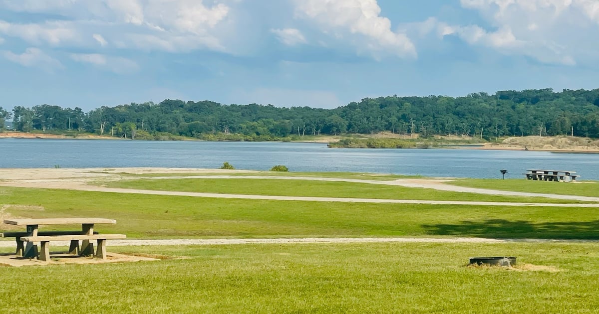 Best Beaches at Lake Texoma for Family Fun | Lucky Duck Lodge